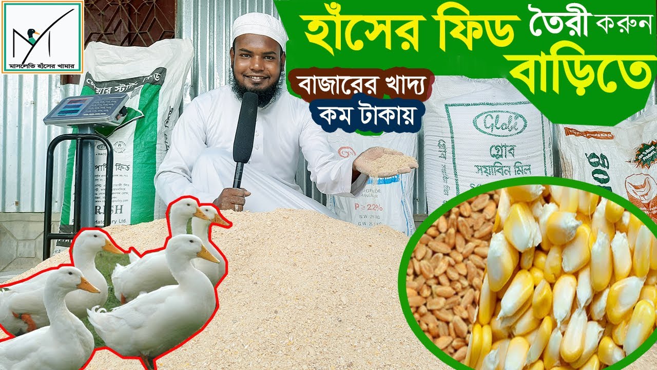 হাঁসের ফিড তৈরী করুন বাড়িতেই । বাজারের চেয়ে কম টাকায় । Maclevy haser ...