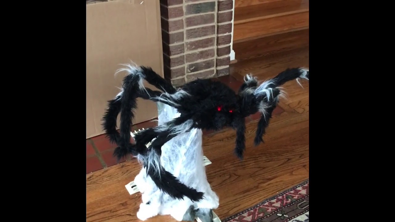 Black Jumping Spider Animatronic - YouTube