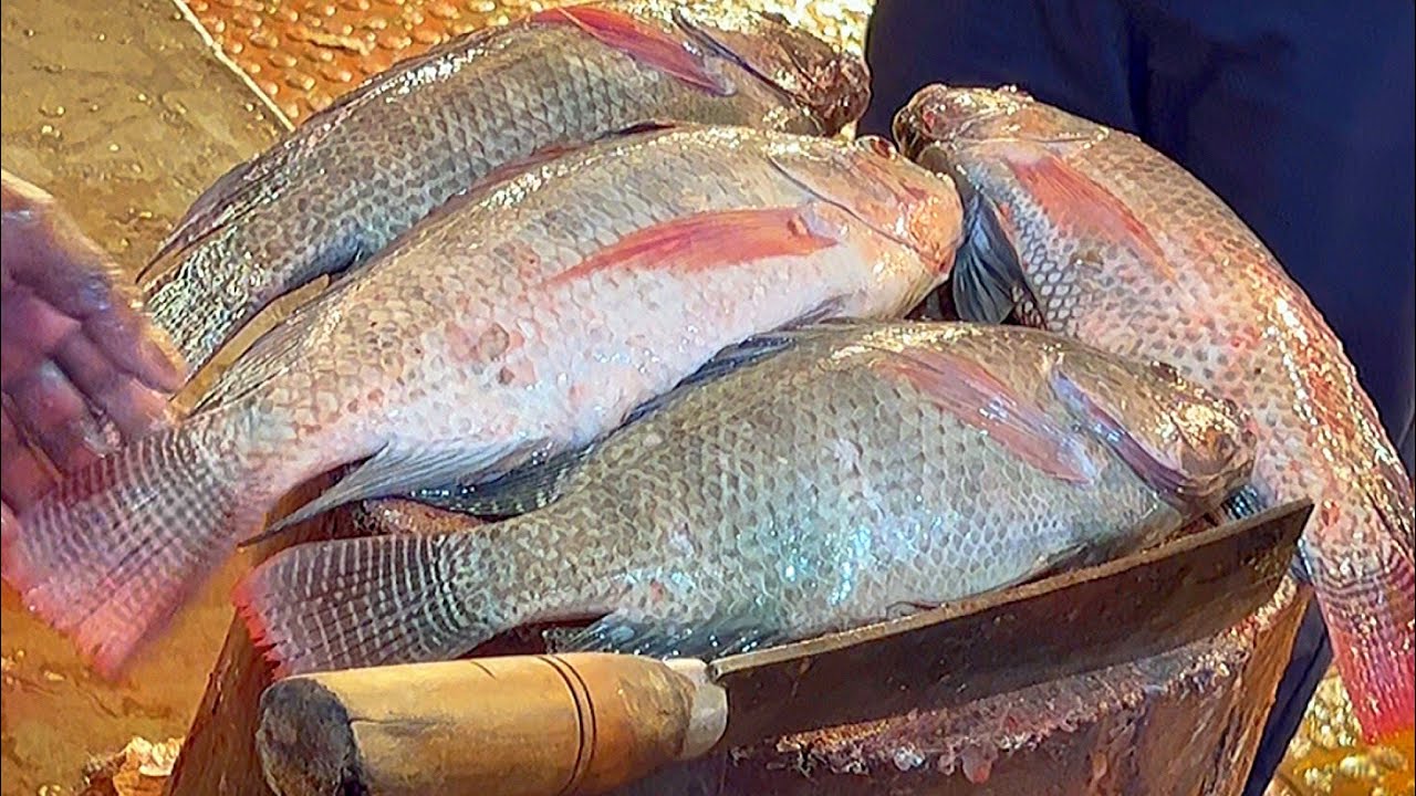 Amazing Live Tilapia Fish Cutting By Expert Fish Cutter | Fish Cutting ...