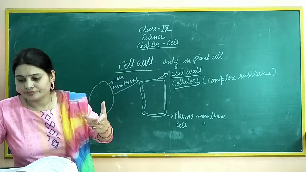 Class Ix Youtube 6761