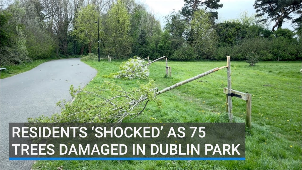Residents ‘shocked’ as 75 trees damaged in Dublin park - YouTube