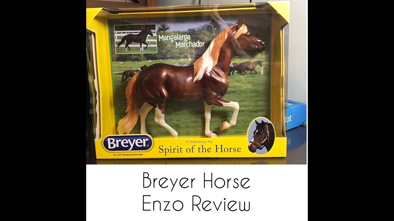 Breyer Horse 2019 Enzo Review - YouTube