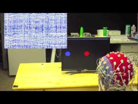 EEG Experiment.mov - YouTube