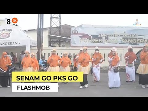 Senam Go PKS Go , Flashmobe PKS #kampanyecaleg - YouTube