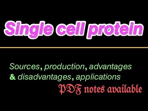 Single cell protein | Sources, production, advantages & disadvantages ...