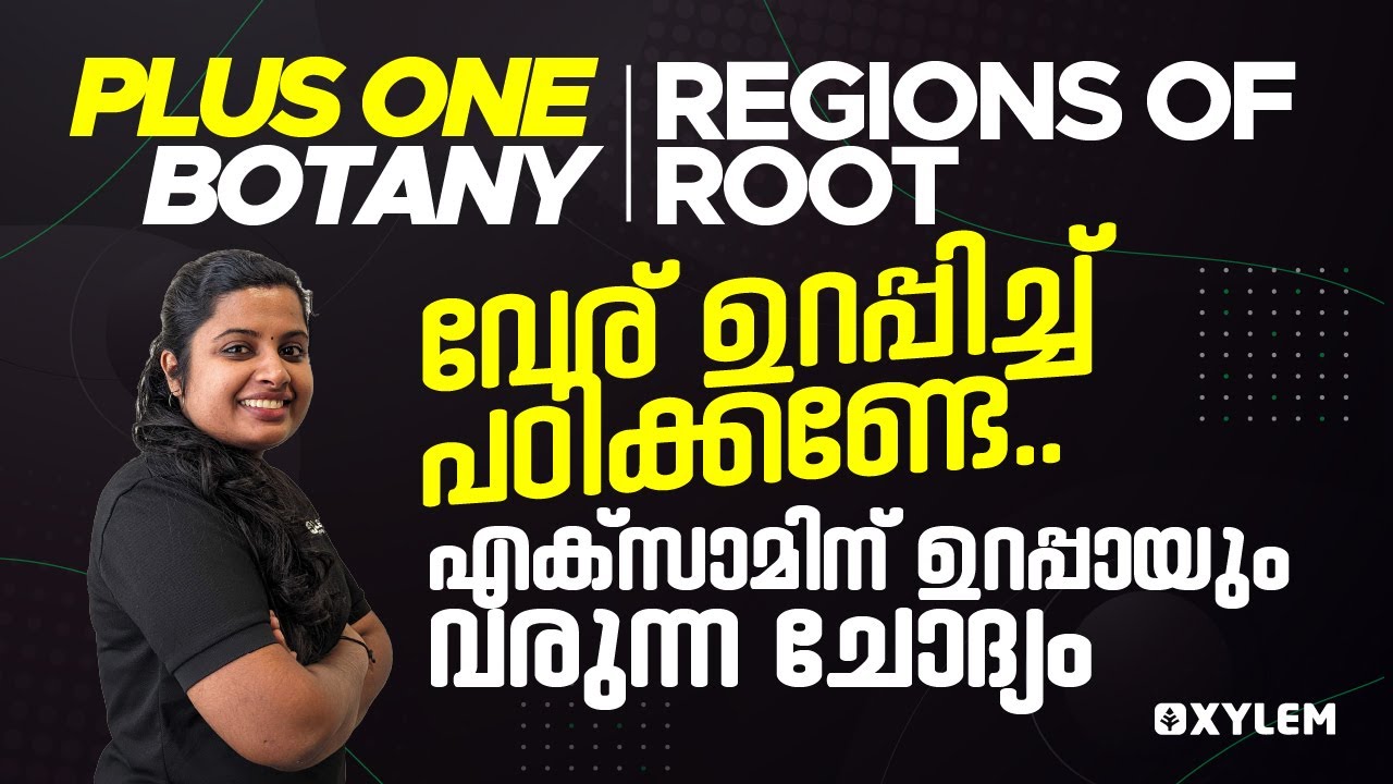 Regions of root - Plus One botany | XYLEM +1 +2 - YouTube
