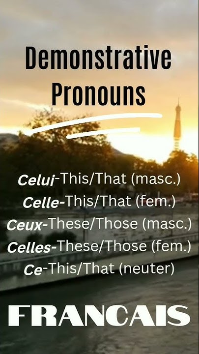 french demonstrative pronouns🇫🇷 #frenchlessons #frenchlanguage # ...