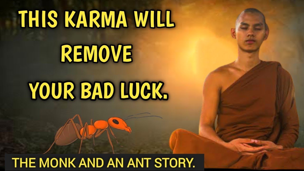 What is karma || The law of karma || Buddhist story on karma || How ...
