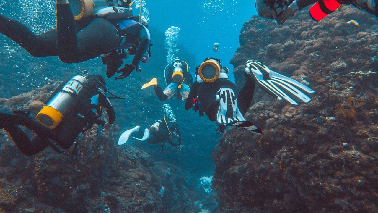 Wow! So Beautiful View Deep Ocean Underwater Sounds & Piano Listen To ...