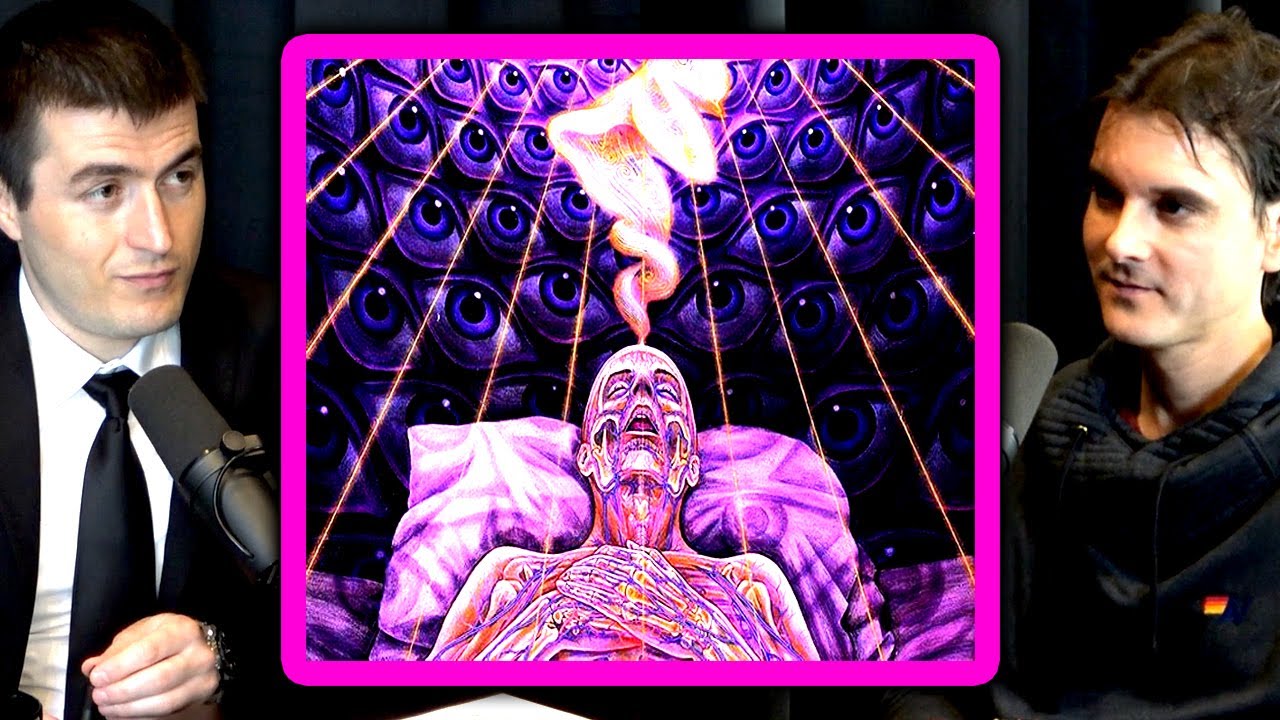 Terence McKenna meeting machine elves in DMT hyperspace | Brian ...