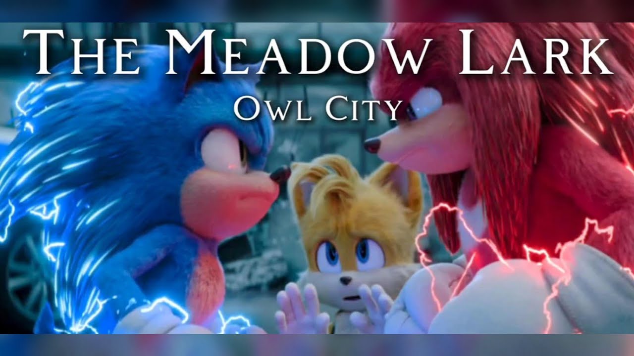 The Meadow Lark - Owl City || AMV || Sonic The Hedgehog - YouTube