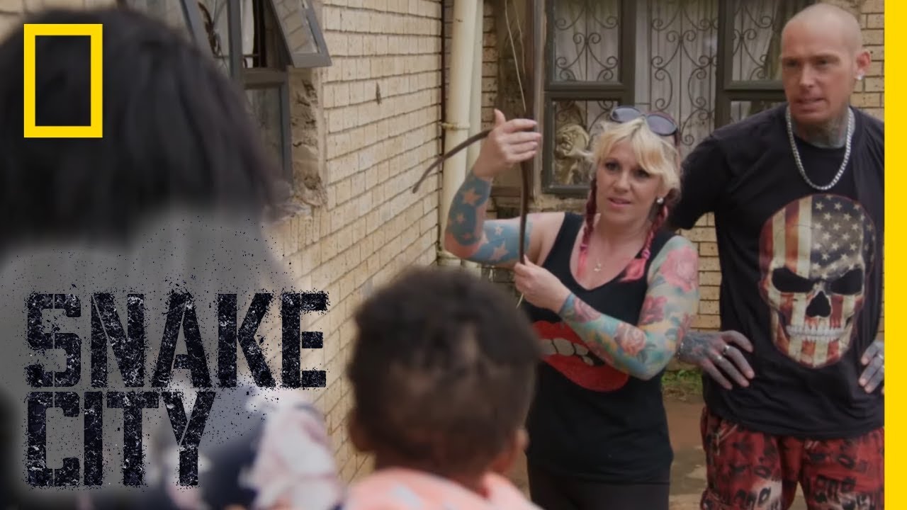 A Snake Hiding in a Kitchen | Snake City - YouTube