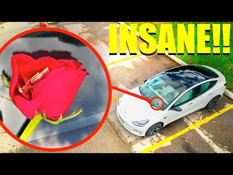 If you see bright RED rose on your TESLA, throw away (WE CAUGHT A STALKER)