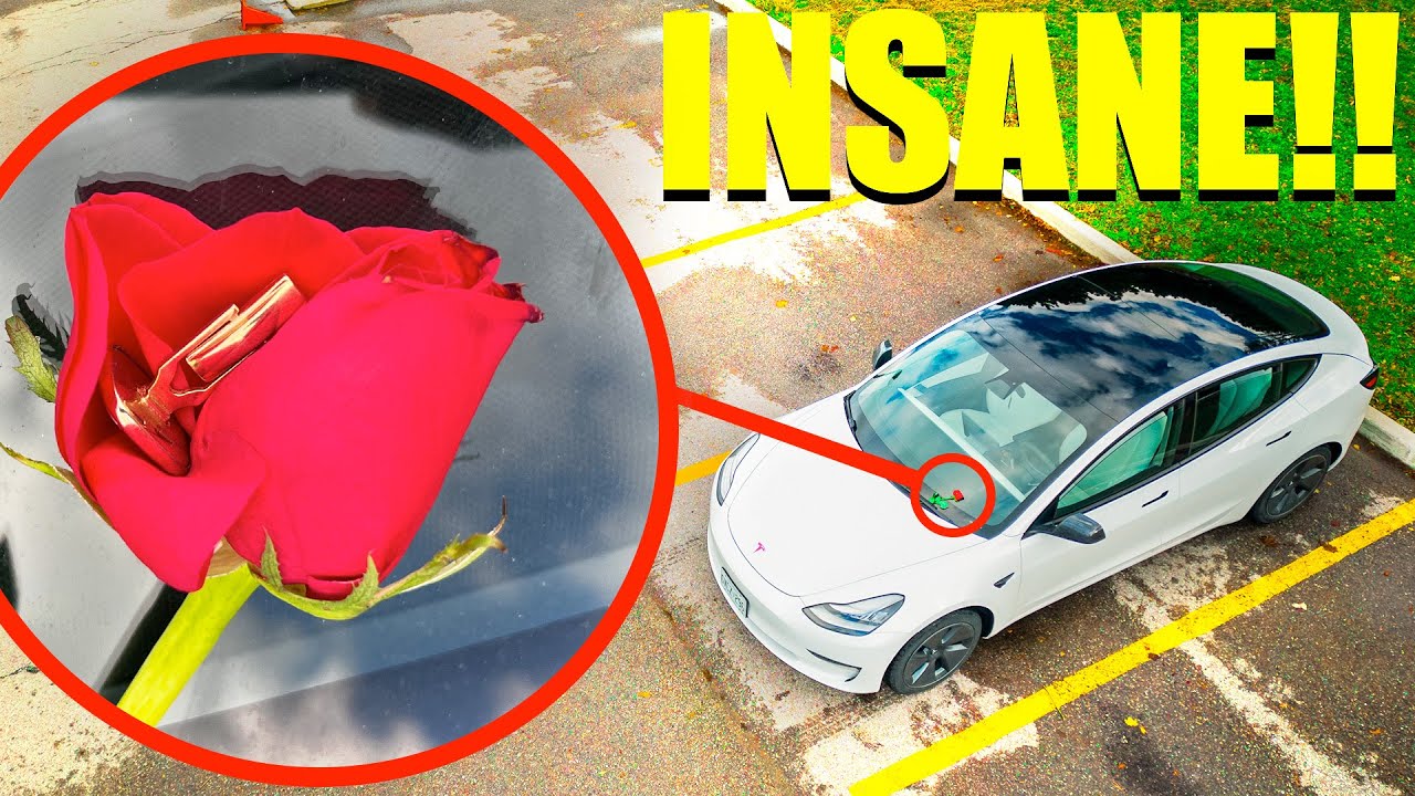 If you see bright RED rose on your TESLA, throw away (WE CAUGHT A ...