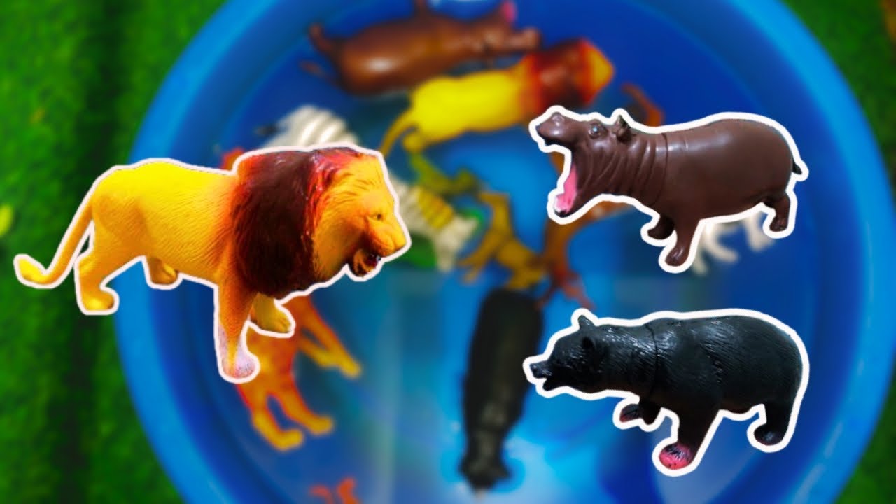 Tropical Jungle Beasts & Toy Friends – Discover Fun Water Learning for ...