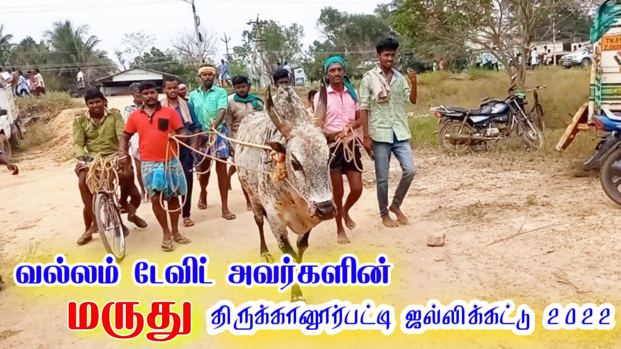 வல்லம் டேவிட் அவர்களின் மருது திருக்கானூப்பட்டி ஜல்லிக்கட்டில் 2022🔥💥🔥 ...