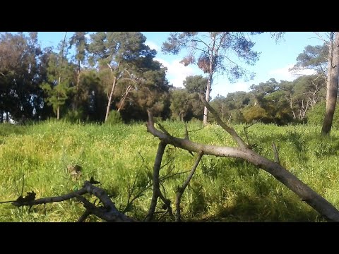 Best Tourist Attractions you MUST SEE in Settat, Morocco | 2019