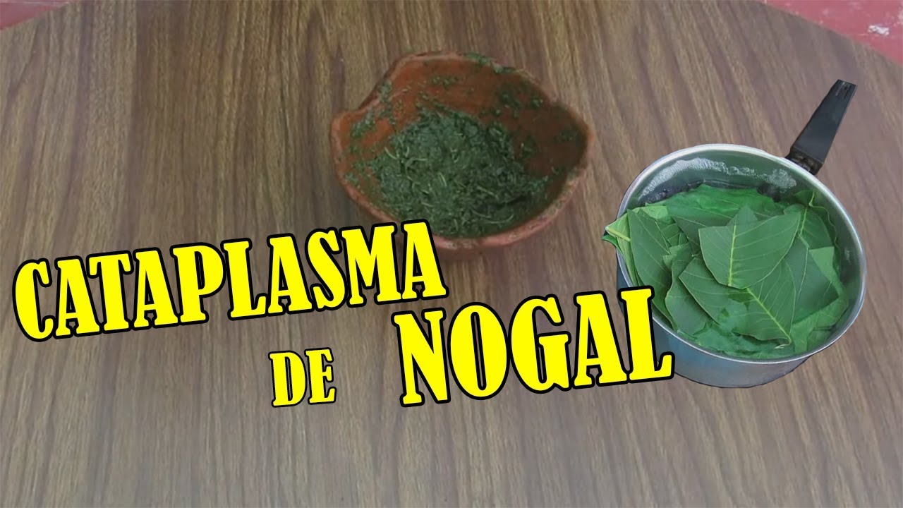 CATAPLASMA con hojas de NOGAL y propiedades del nogal - YouTube