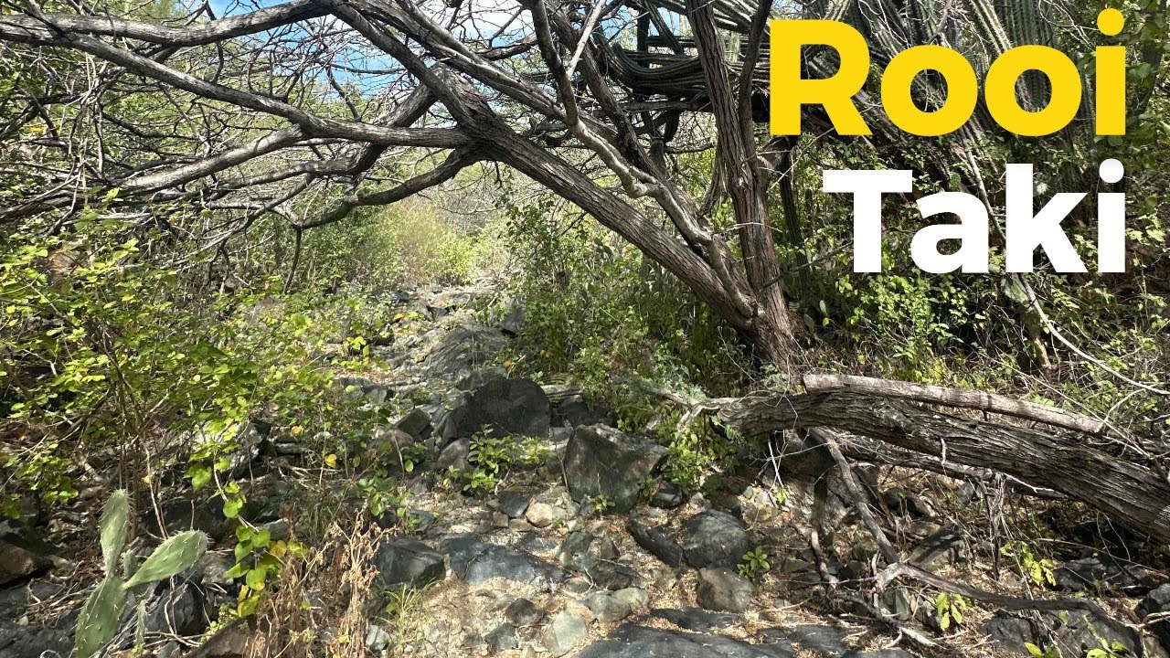 Aruba's Rooi Taki hike - YouTube