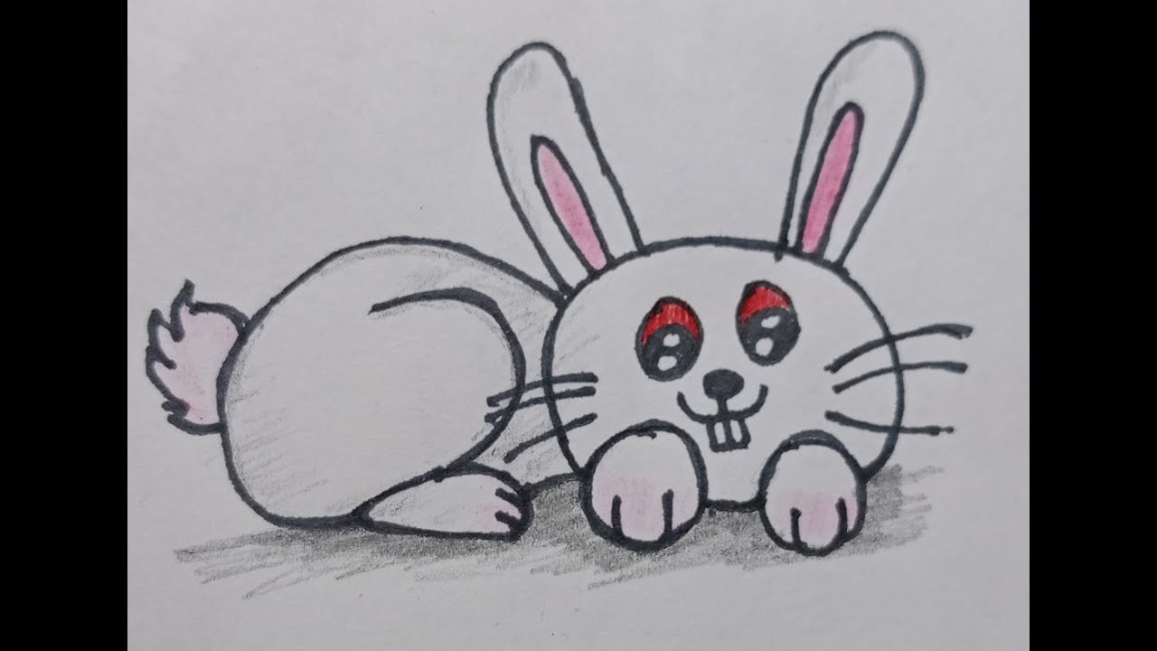 How to draw a rabbit step by step easy - YouTube