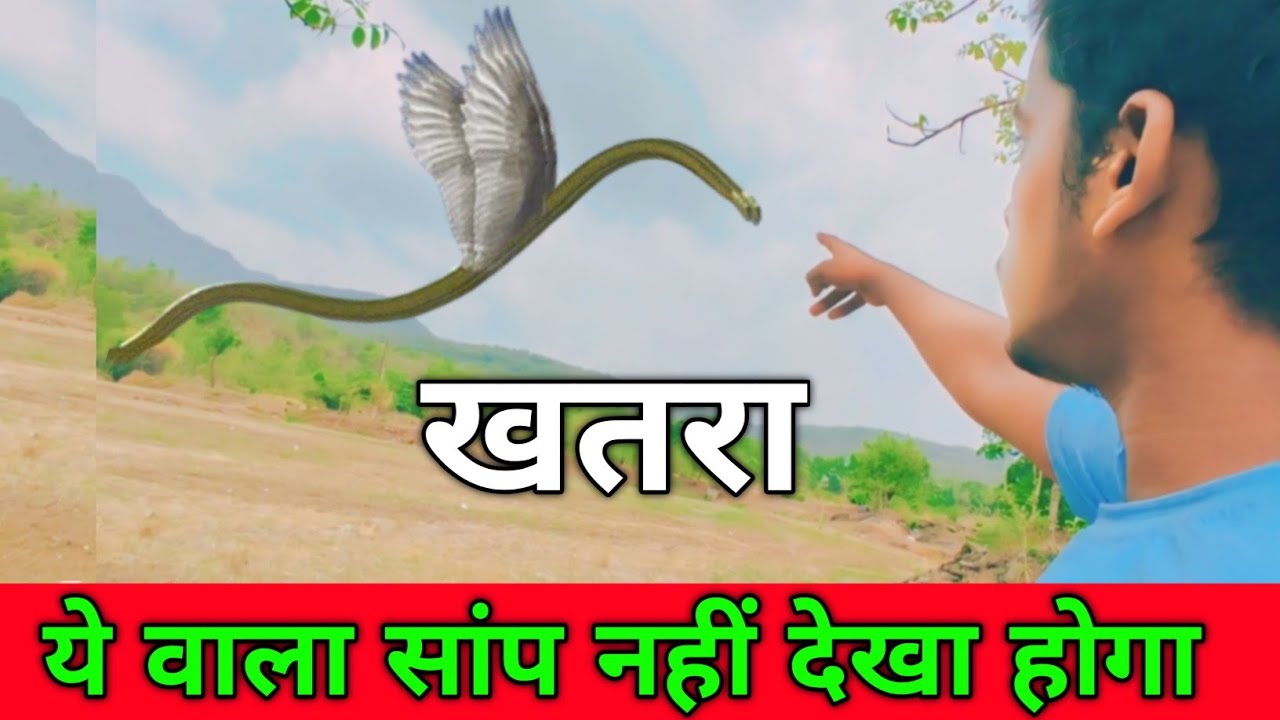 Udta hua Sanp 🤣#viral #viralvideo #shorts #vital #comedy #funny #reels ...