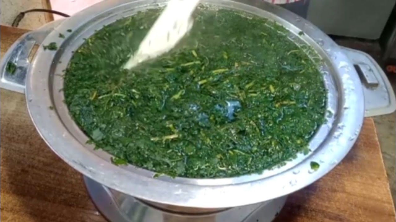 How To Prepare Bitter Leaf for Soup Faster | Bitter Leaf Health ...