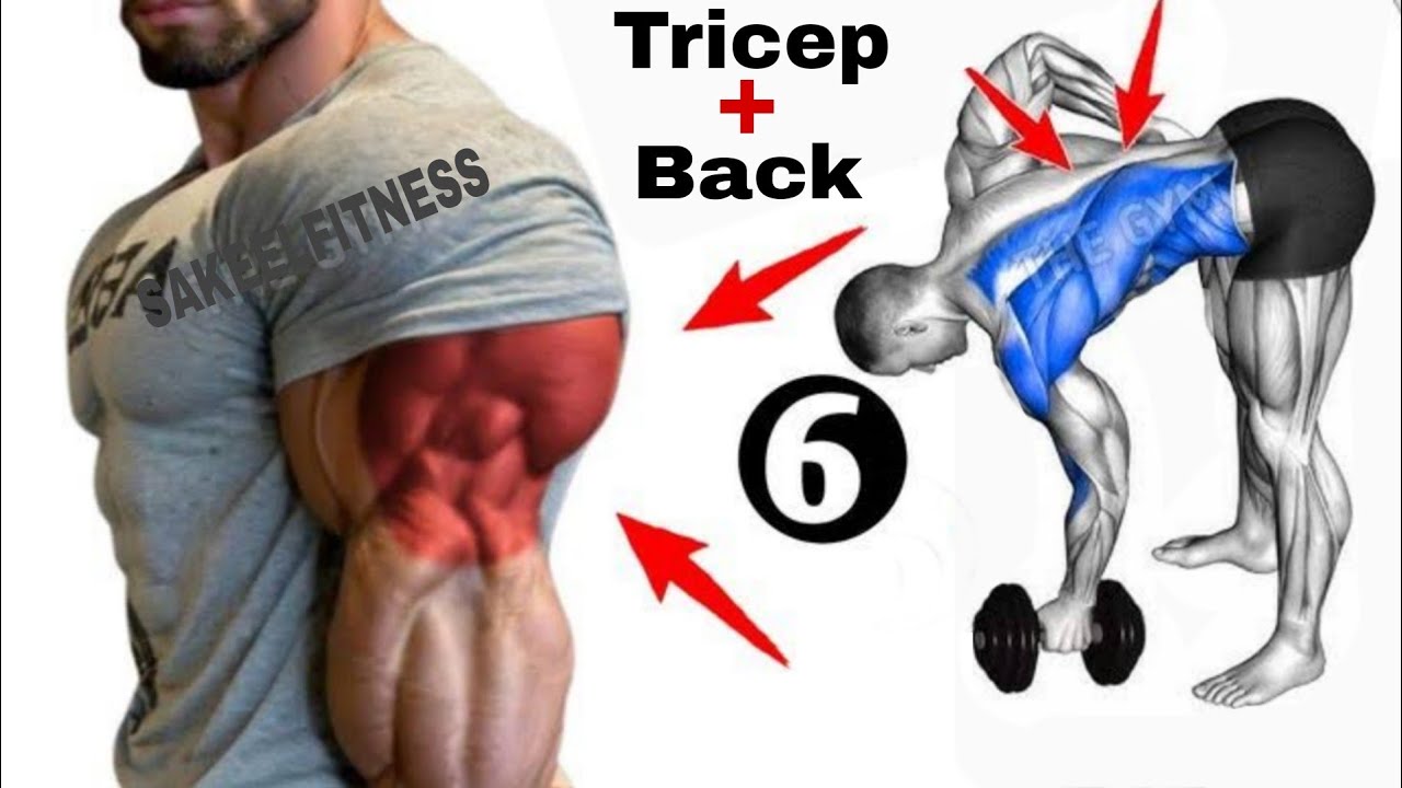 Back and triceps workout|| tricep workout back workout at home bigger ...