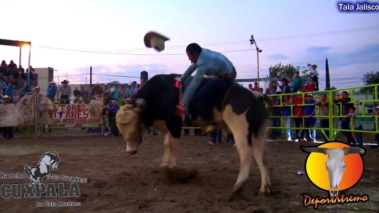 TIENES QUE VER EN QUE TERMINO ESTA MONTA!!!RANCHO CUXPALA Y RANCHO LAS ...