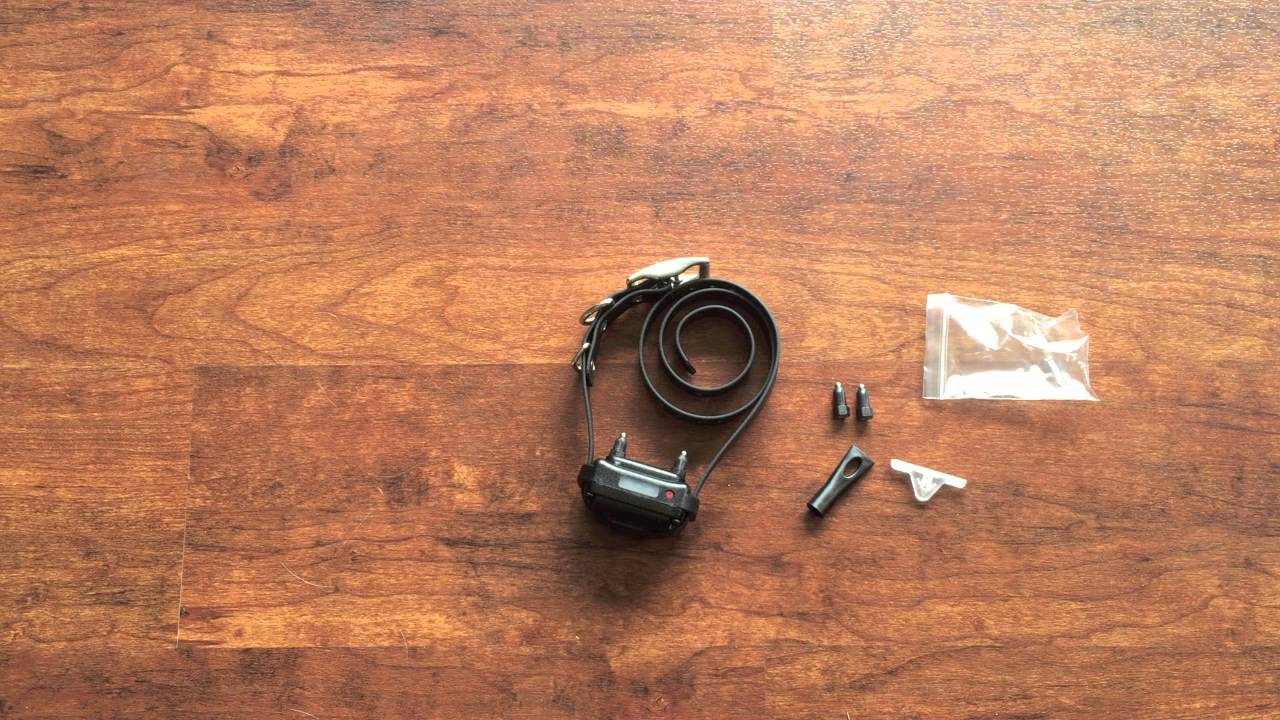 How to change the contact points on a Mini Educator e-collar | Follow ...