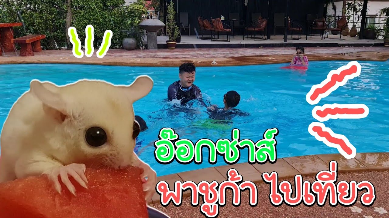 อ๊อกซ่าส์พาชูก้าไรเดอร์ ไปเที่ยว | Oxza' s takes Sugar Rider on a trip ...