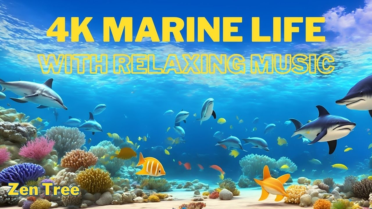 4K Marine Life - Soothing and Calming Music with Relaxing Underwater ...