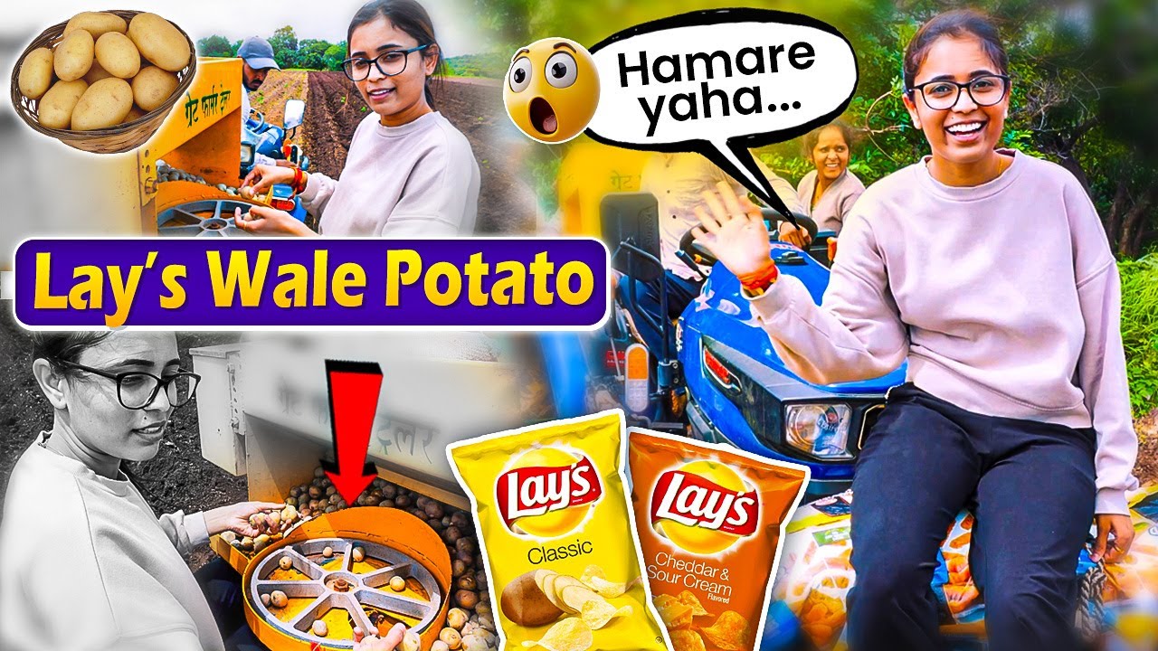 We are Planting Potatoes for LAYS , Bingo, ITC🥔😍 - YouTube