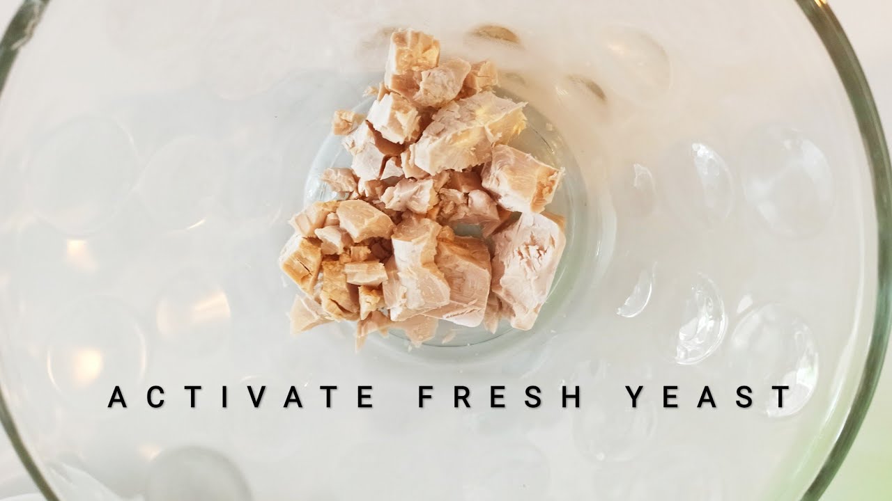 How to activate fresh Yeast - YouTube