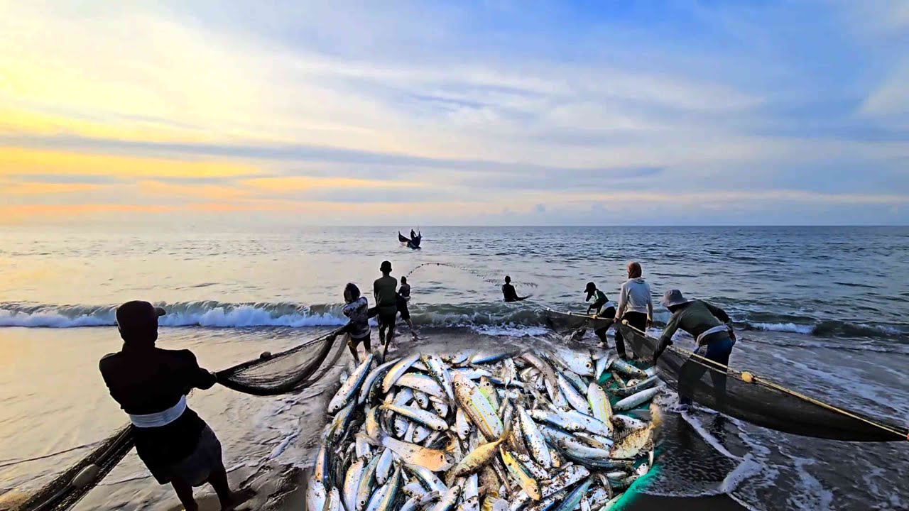 The Ultimate of Net Fishing Catch Fish With Drag Net - YouTube