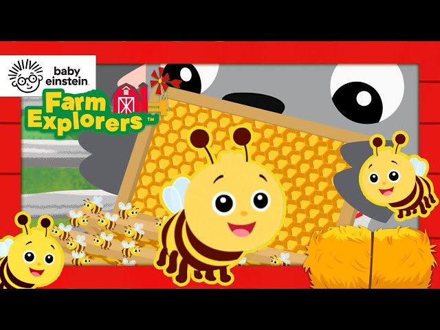 NEW! Senses with Bees | Farm Explorers | Baby Einstein | Education and ...