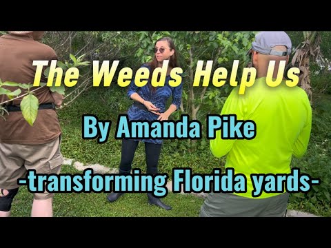 Amanda Pike: The weeds help us - YouTube