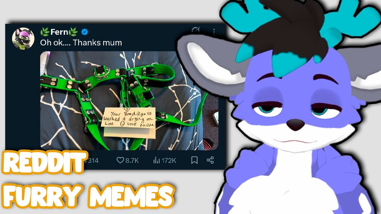 FURRY MEMES FROM REDDIT THAT WILL MAKE YOU BE INTO CUTE FURRY FEMBOYS ...