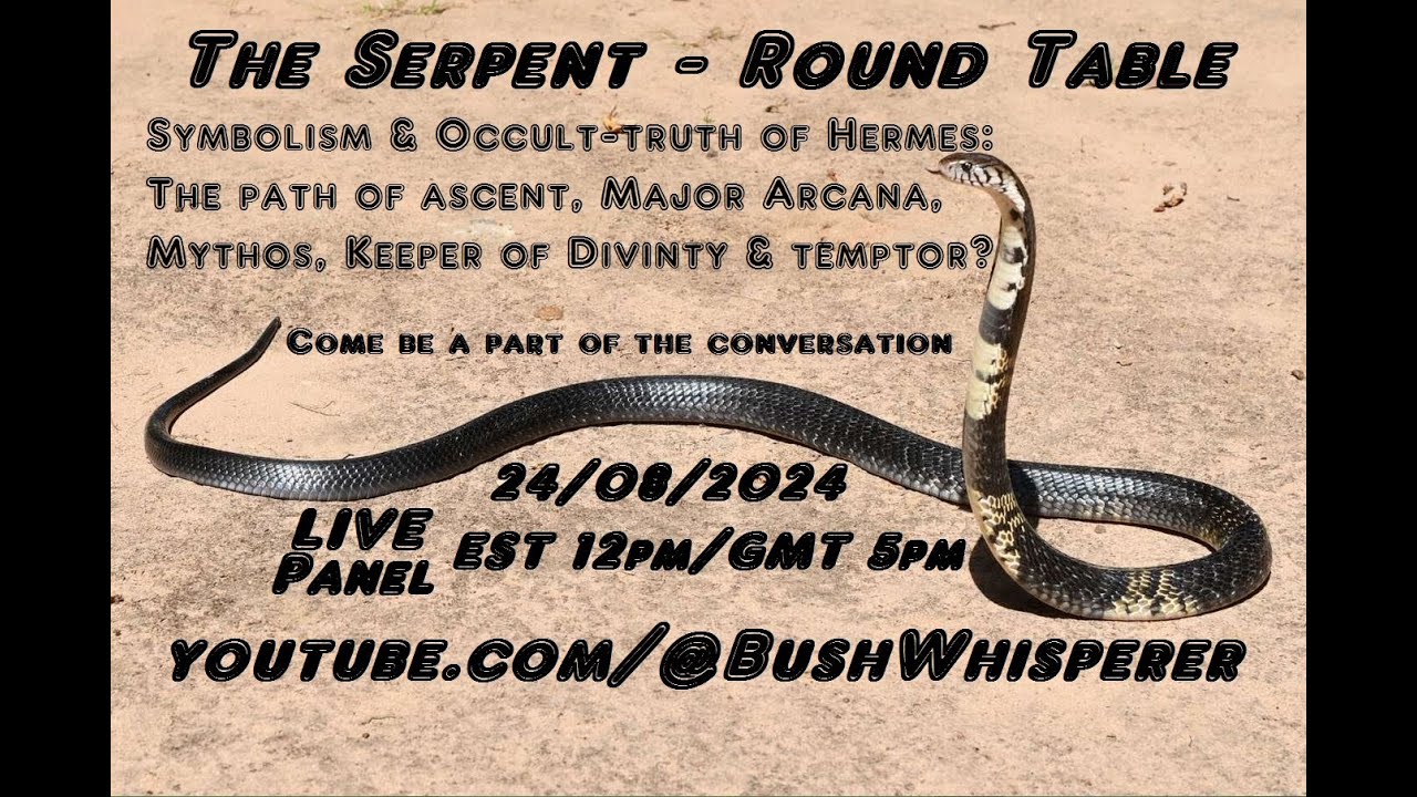 The Serpent - ROUND TABLE Live Panel - YouTube