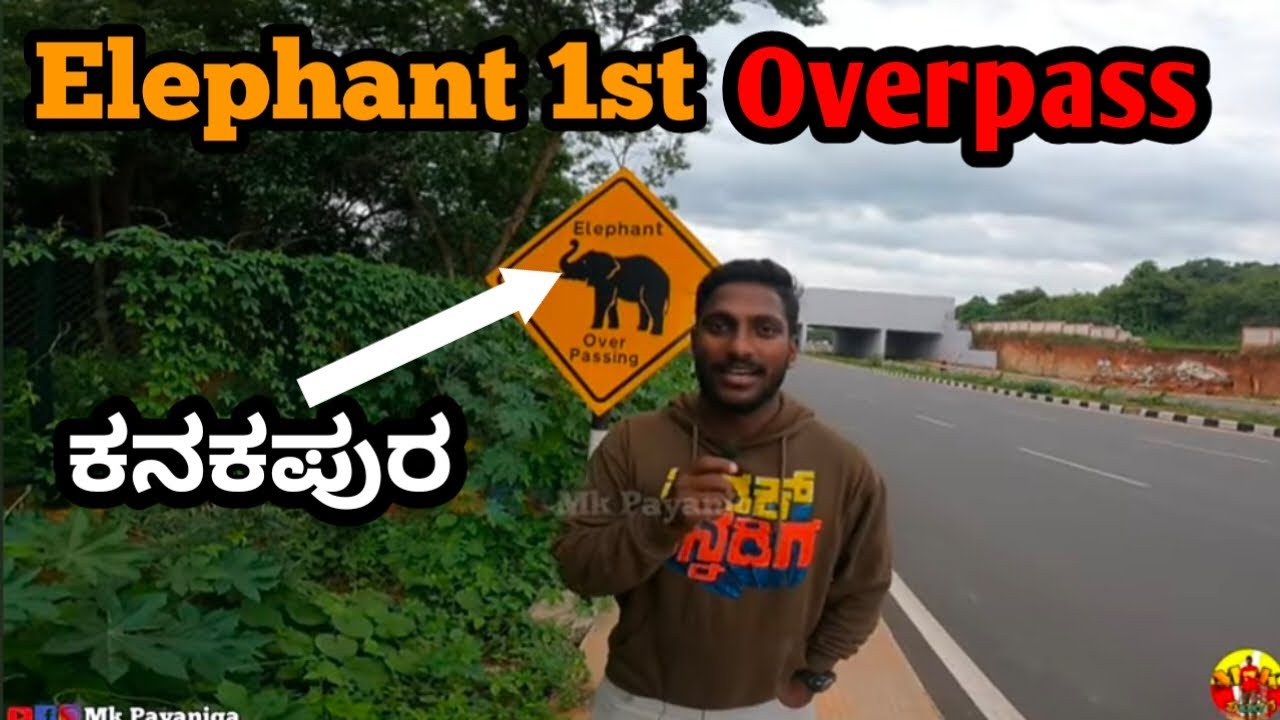 Karnataka's 1st Elephant Overpass | Bannerghatta - Savanadurga Forest ...