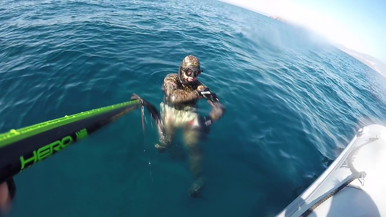 Salvimar - New Season - YouTube