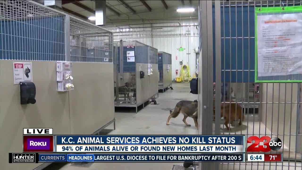 Kern County Animal Services reaches no-kill status - YouTube