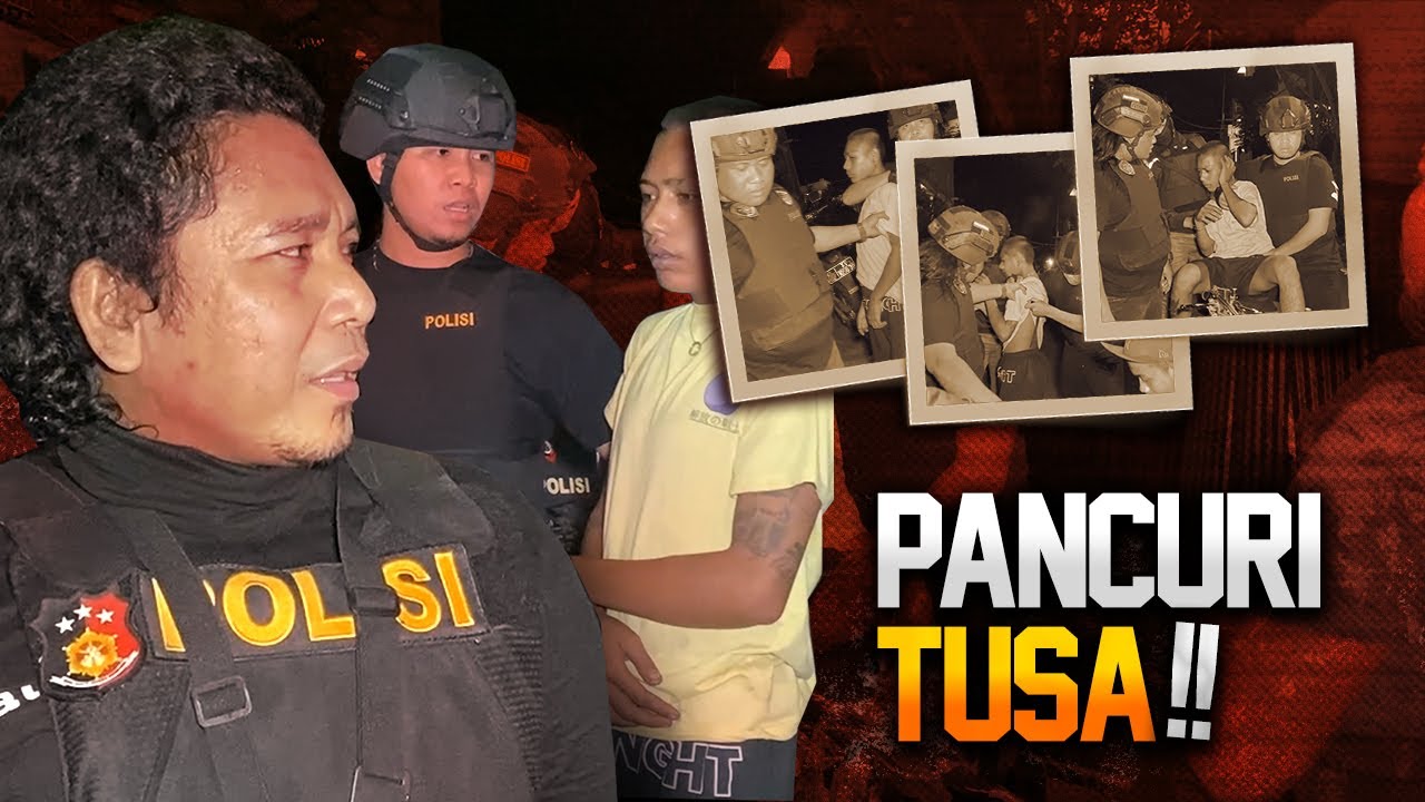 GAGAL M3NCURI KUCING, P3L4KU B3RS3NJ4TA T4JAM MALAH KETAHUAN TIM ...