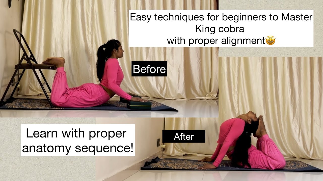 Easy techniques for beginners to Master King cobra with proper ...
