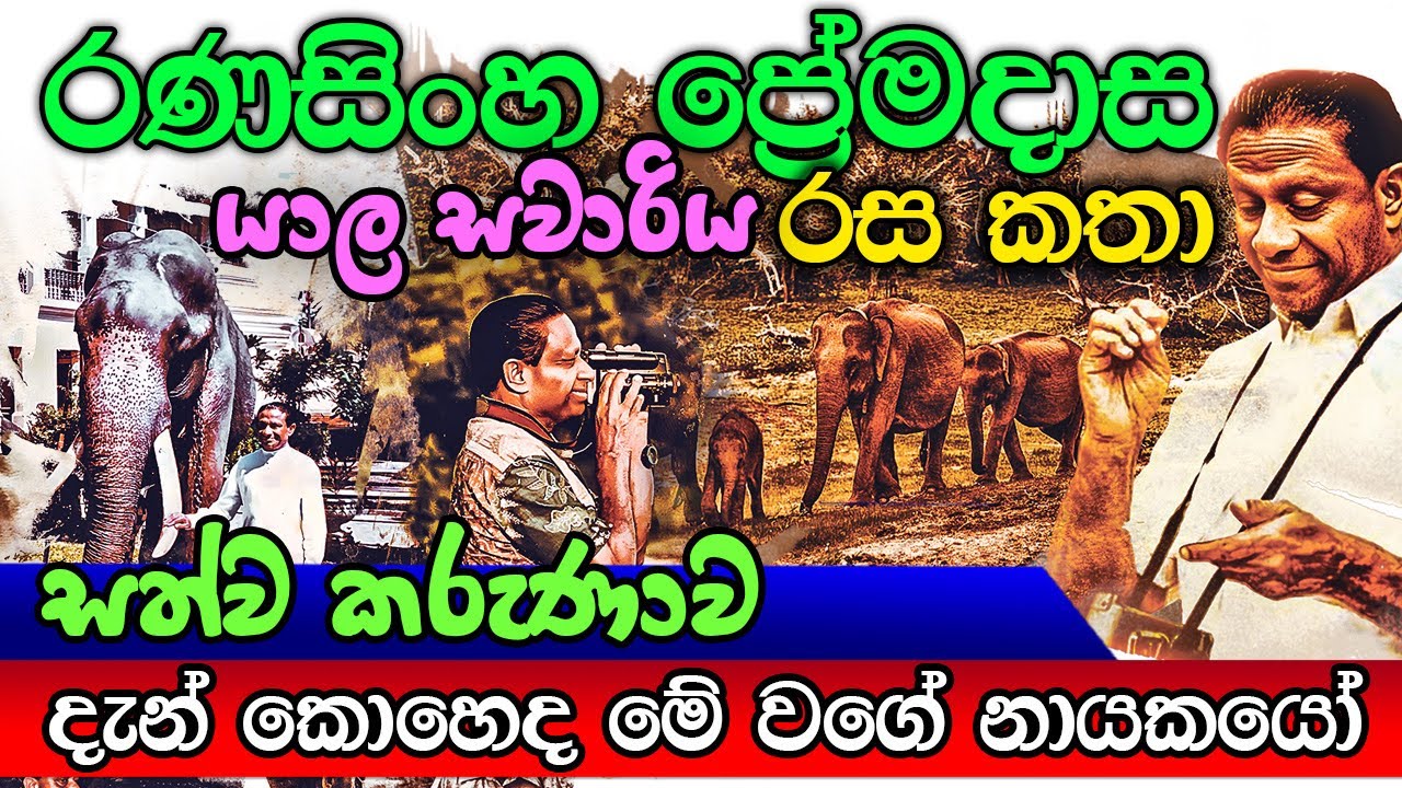 Ranasinghe Premadasa | රණසිංහ ප්‍රේමදාස | R Premadasa Tribute Video ...