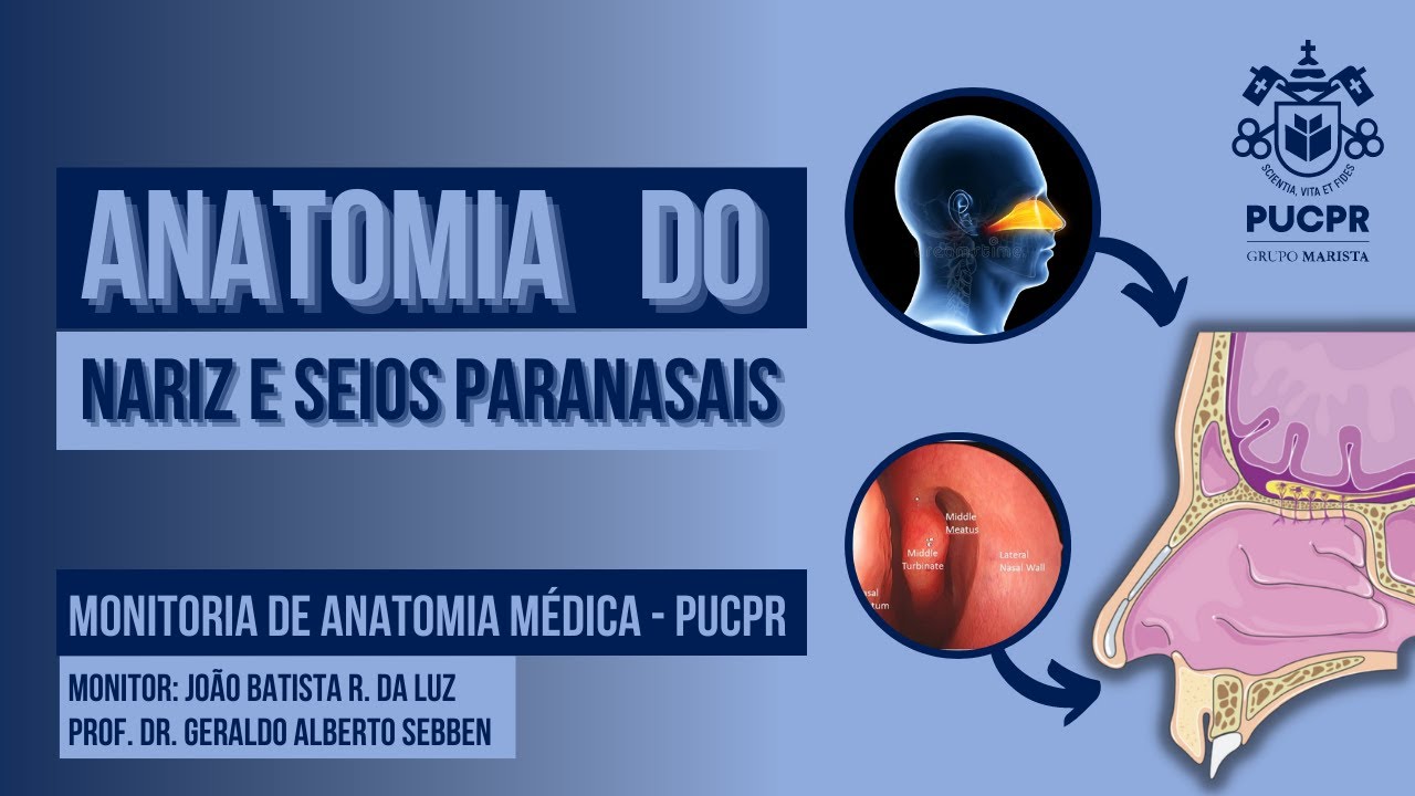 Nariz e Seios Paranasais - Monitoria de Anatomia Médica I PUCPR - YouTube