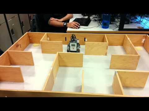 maze test