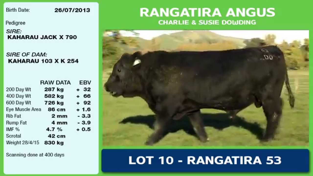 LOT 10 RANGATIRA 53 - YouTube