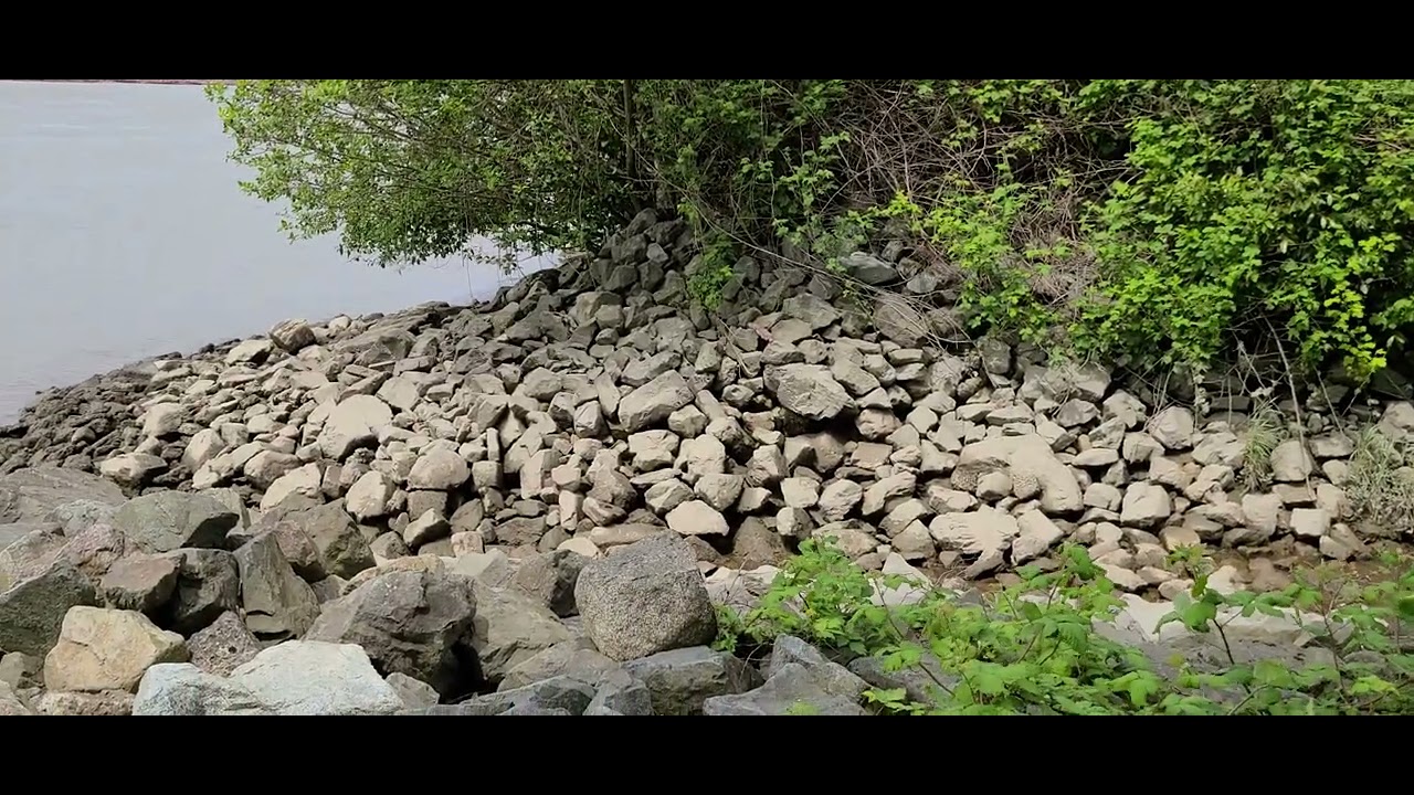 Lumber and the rocks - YouTube