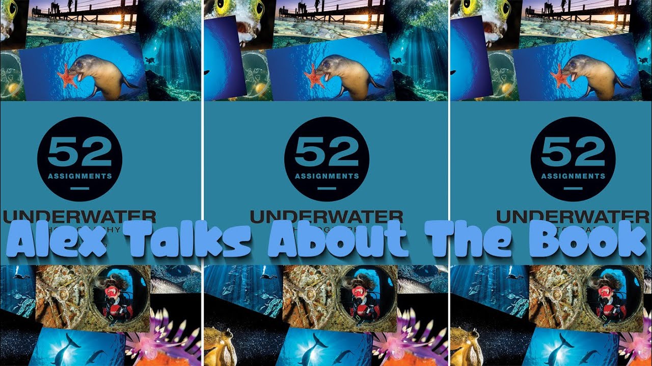 Alex Chats About 52 Assignments - Out This Week - YouTube