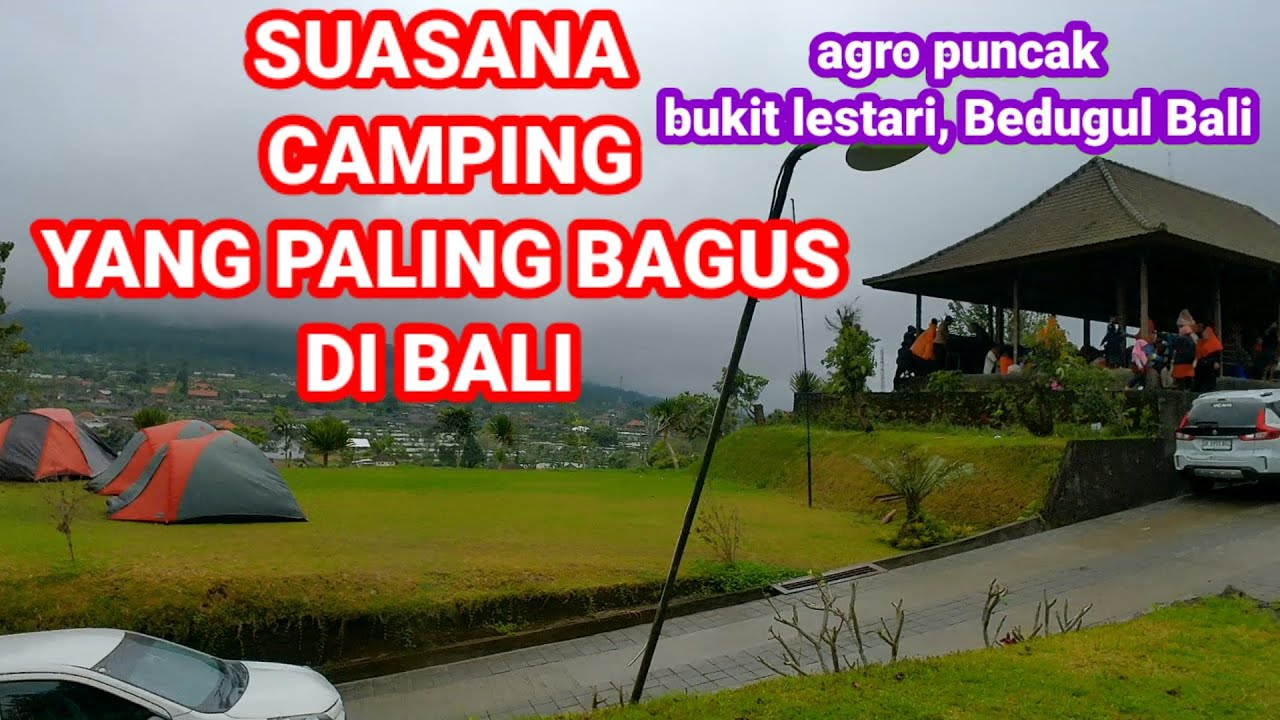 AGRO PUNCAK BUKIT LESTARI BEDUGUL BALI TERKINI,‼️ ngecamp asyik dengan ...